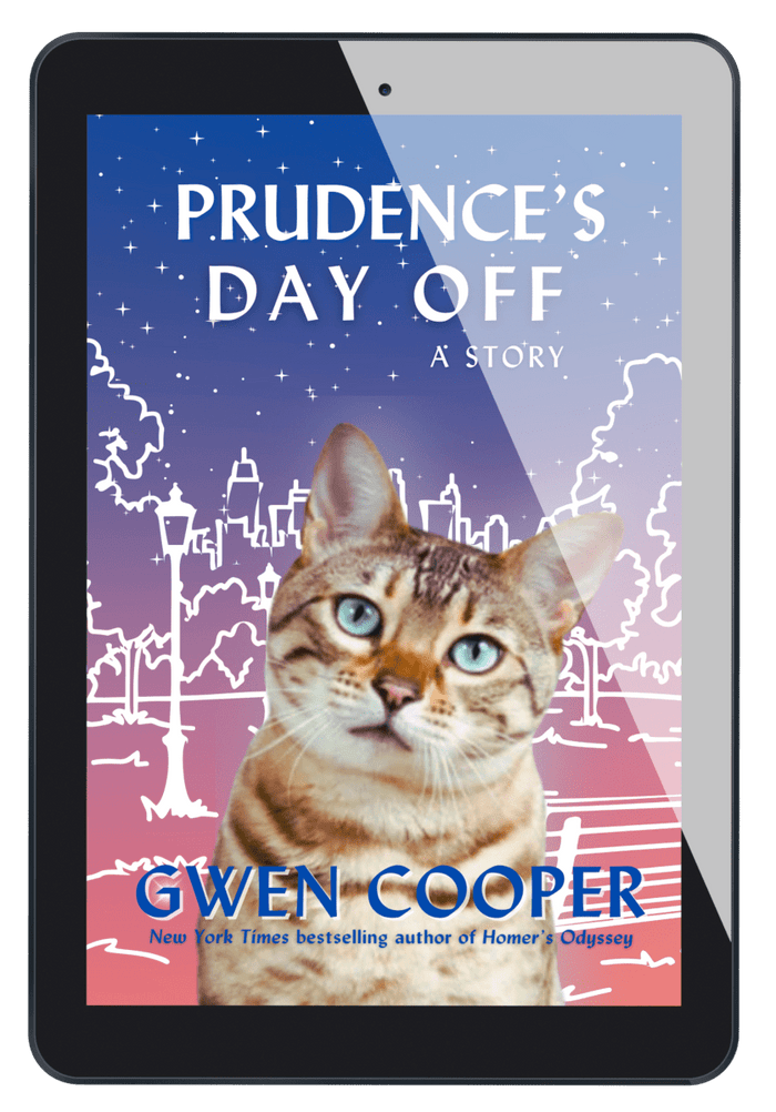 PRUDENCE'S DAY OFF E-book Pre-Order! (a Love Saves the Day story)