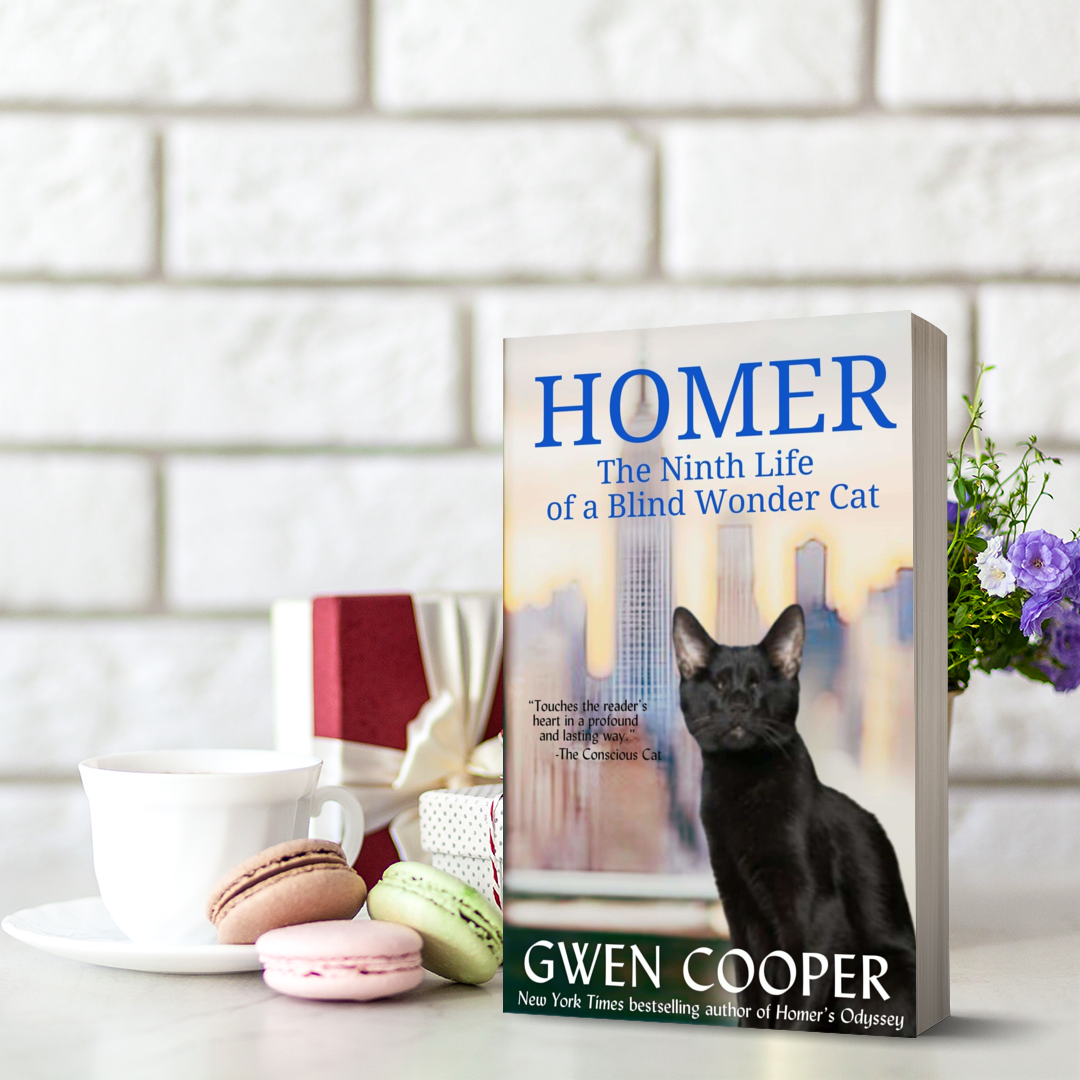 Homer: The Ninth Life of a Blind Wonder Cat (Paperback) – Gwen Cooper ...