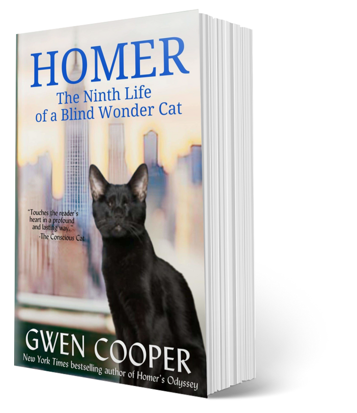 Homer: The Ninth Life of a Blind Wonder Cat – Gwen Cooper Cat Books