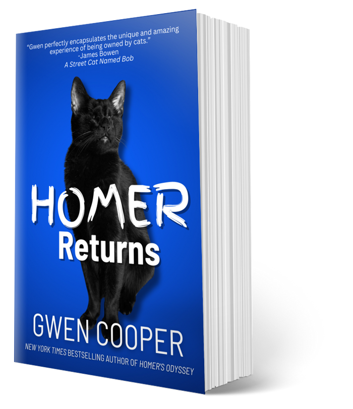 Homer 3-Book Bundle (Homer Books #2 thru #4)
