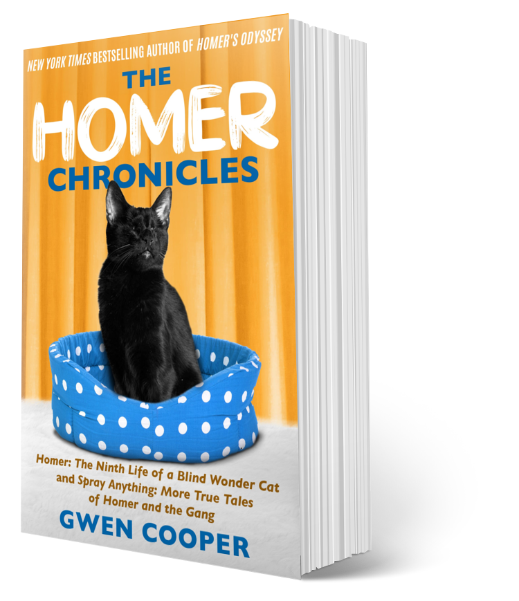 The HOMER Chronicles (Homer Books #2 and #3)