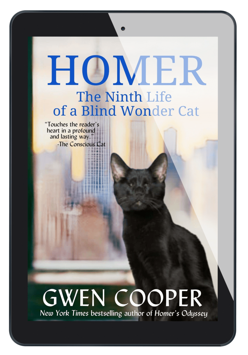Homer: The Ninth Life of a Blind Wonder Cat (Homer Book #2)